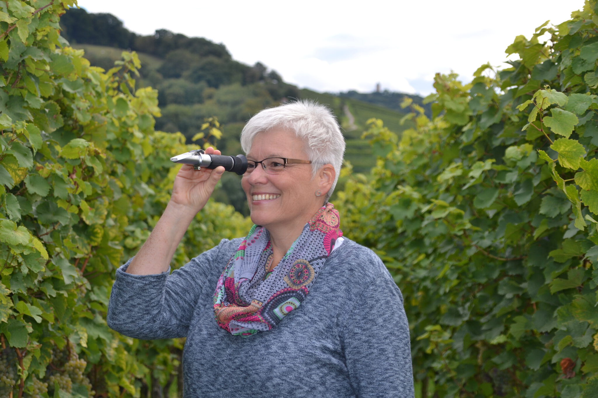 Mostgewicht und Traubenreife – BergsWeinTours